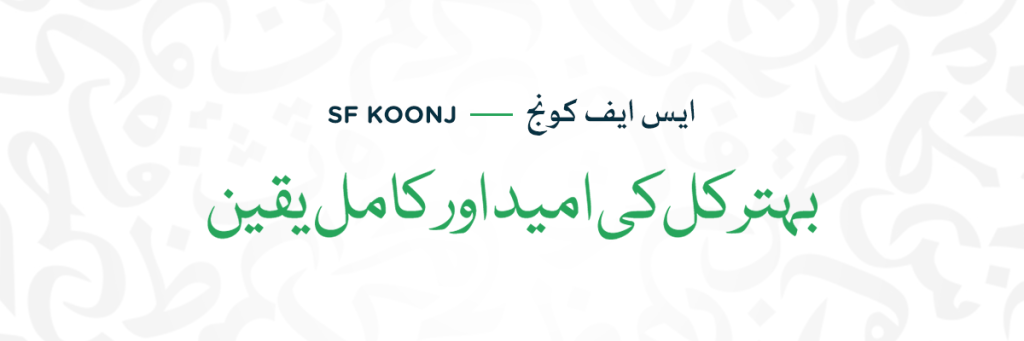 List of Top 11 Urdu Fonts for Making Engaging and Fun TikTok's